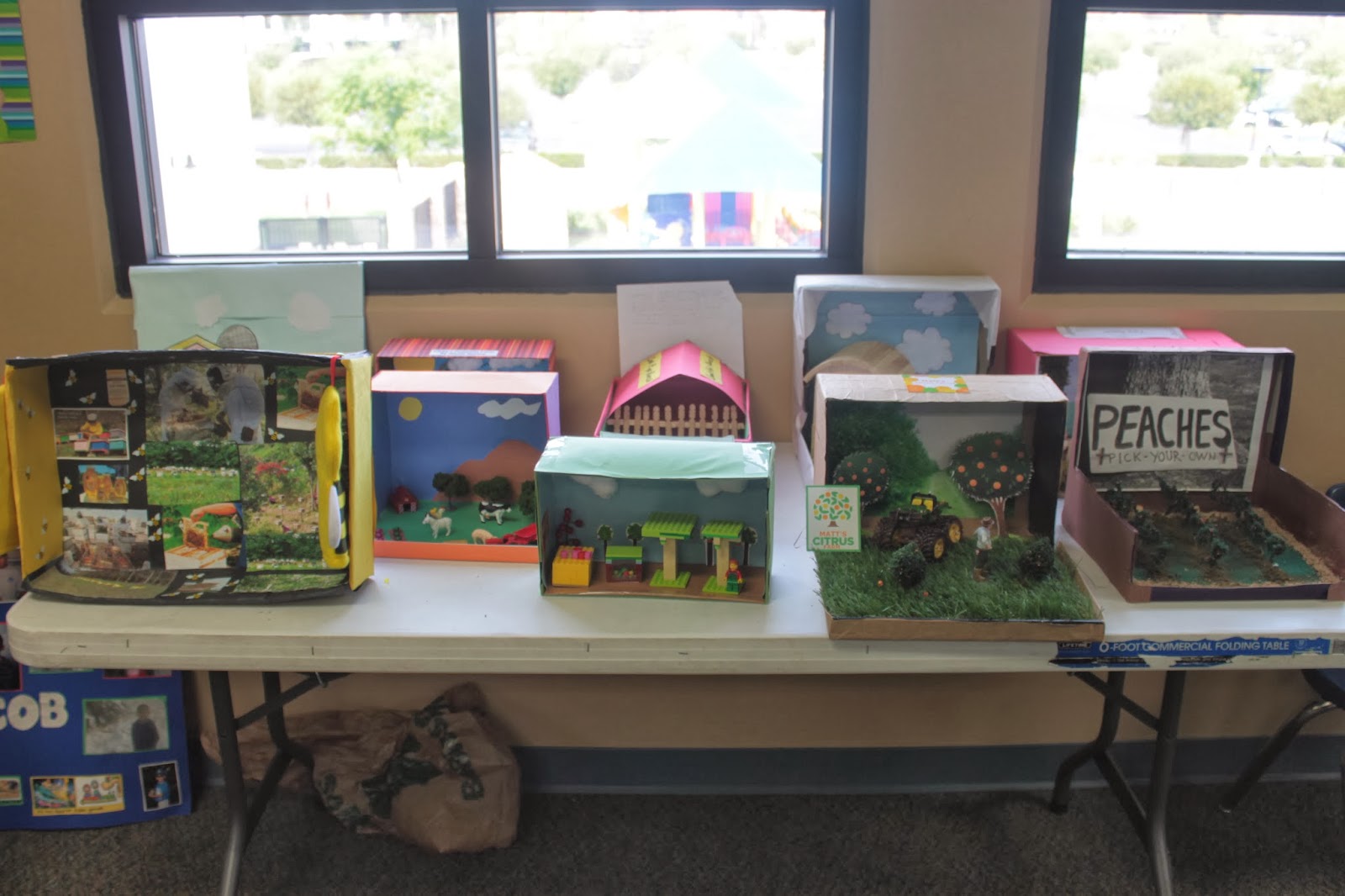 Swinging into our Third Grade Class!: Charlotte's Web Diaroma Projects