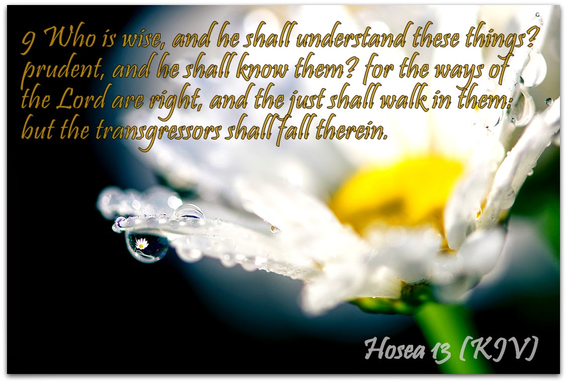 Red Pill Diaries: Hosea 13 (KJV)