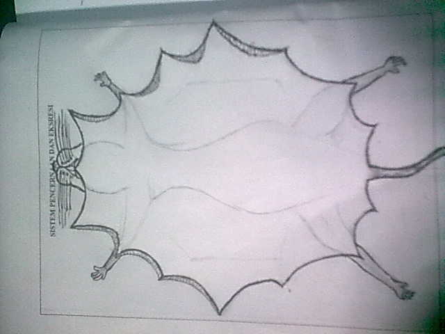 pembedahan dan gambar praktikum mencit mus musculus ( gambar dari hasil ...