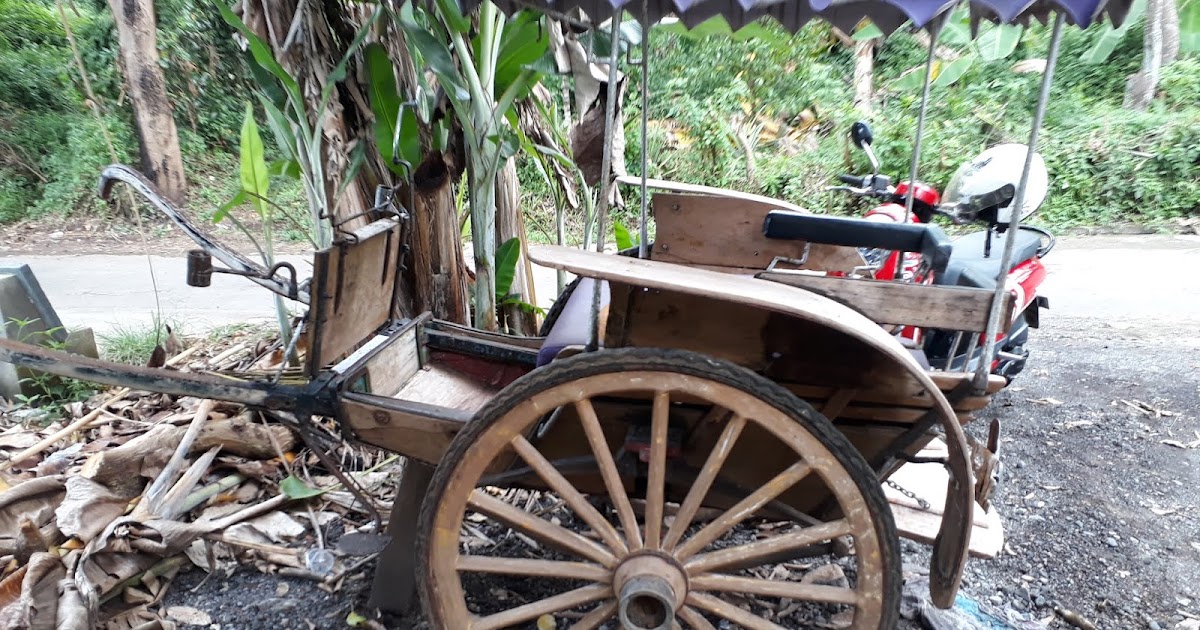 Sebuah Cerita Tentang Dokar / Delman