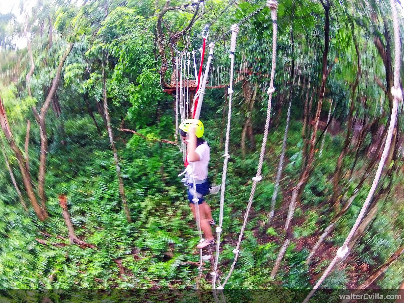 Surviving the Chocolate Hills Adventure Park challenge – Jerni Camposano