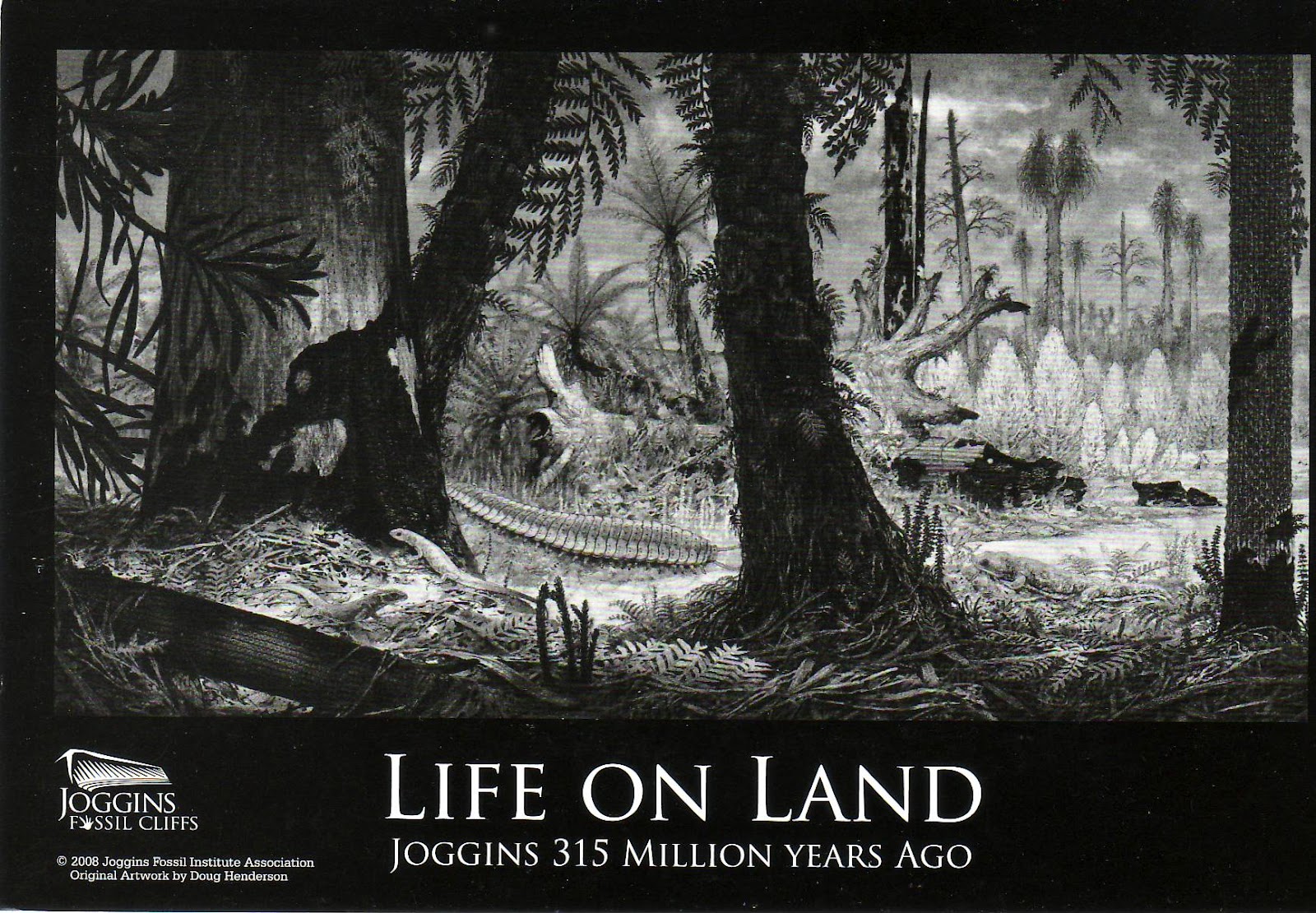 Moonlights UNESCO WHS Blog: Canada - Joggins Fossil Cliffs