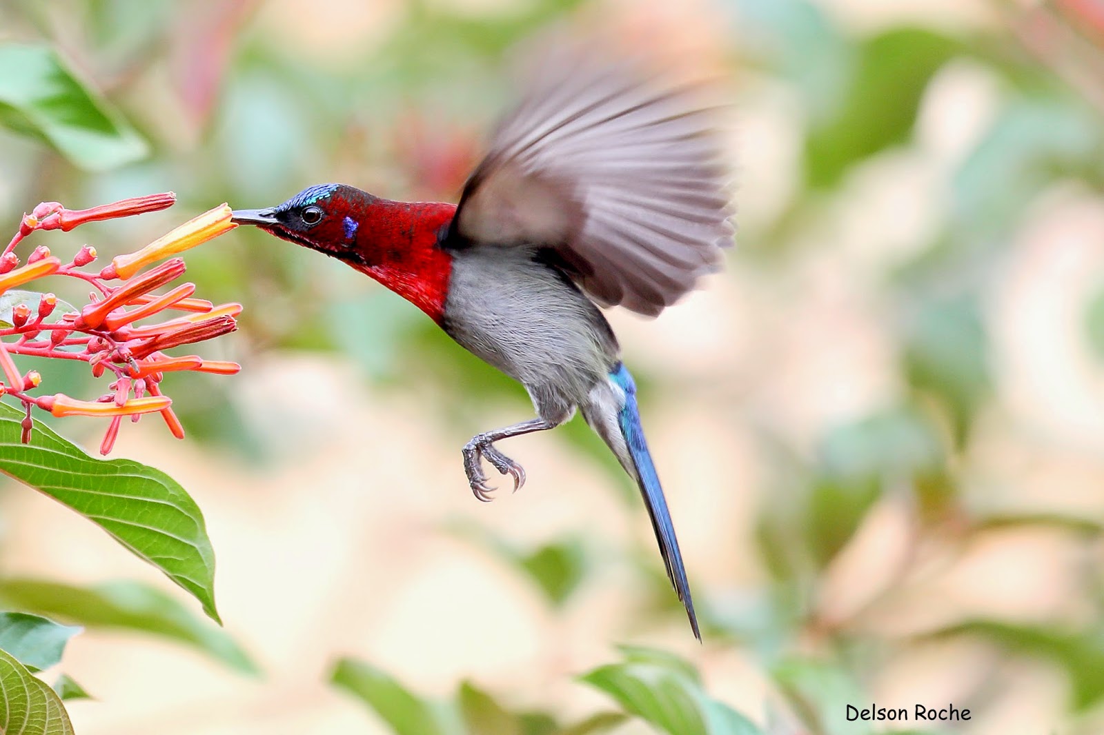 Friendly Animals: June 2014