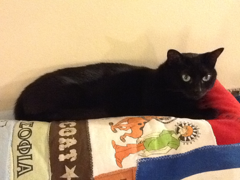 Simon and River's E-Catbook