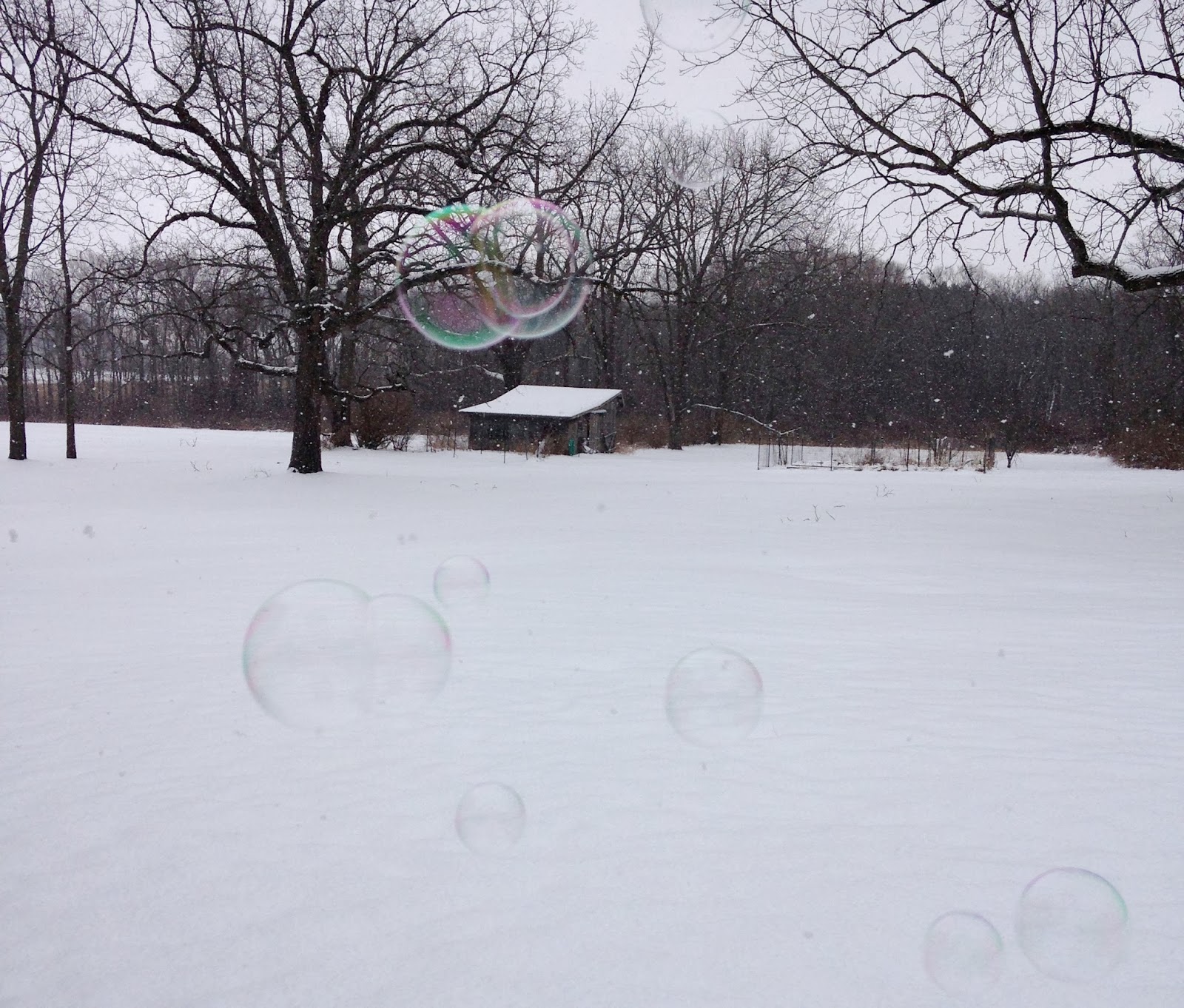 maya*made: snow bubbles