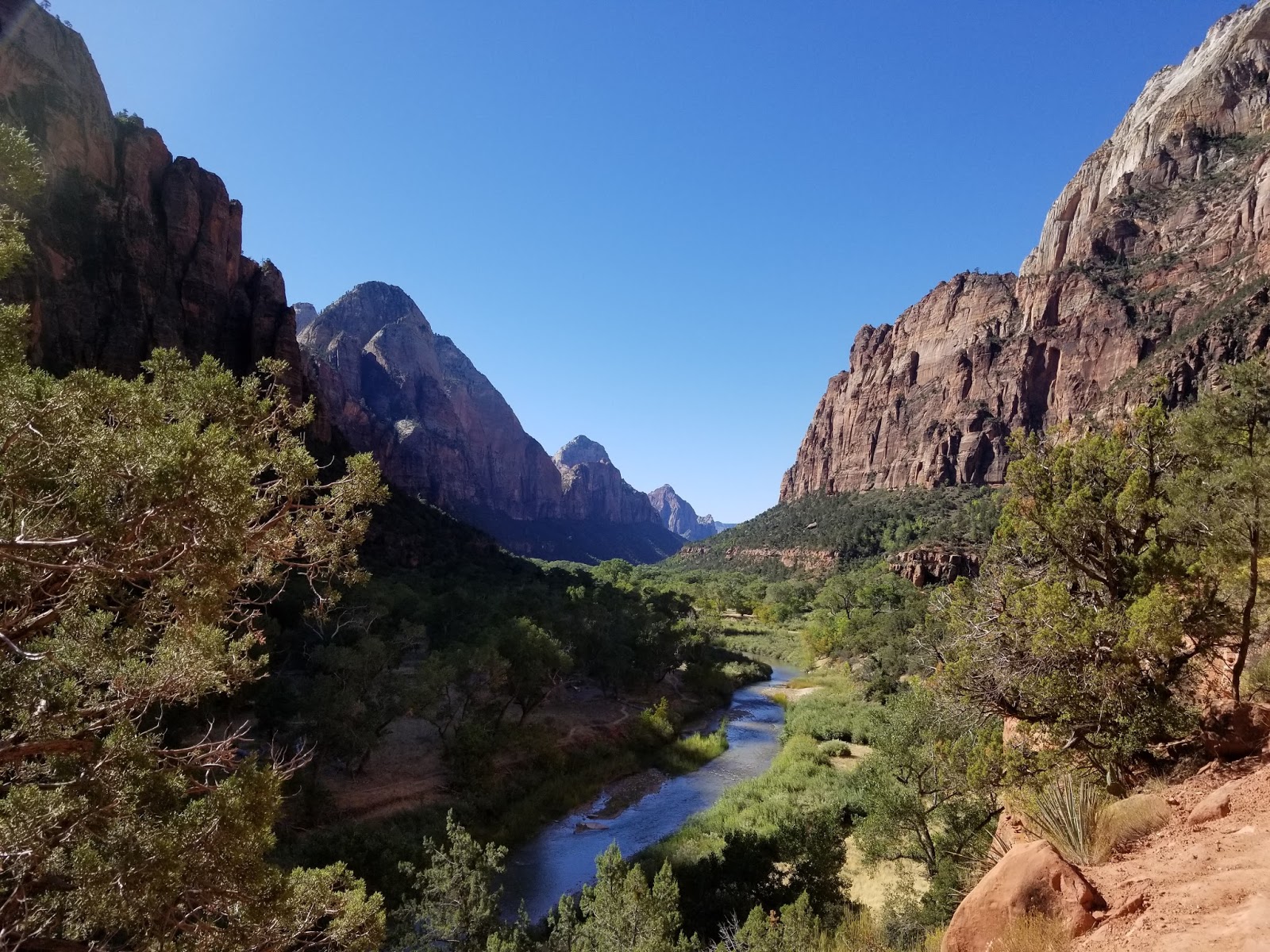 Wilderness Wanderings: Zion Emerald Pools & Kayenta Trail