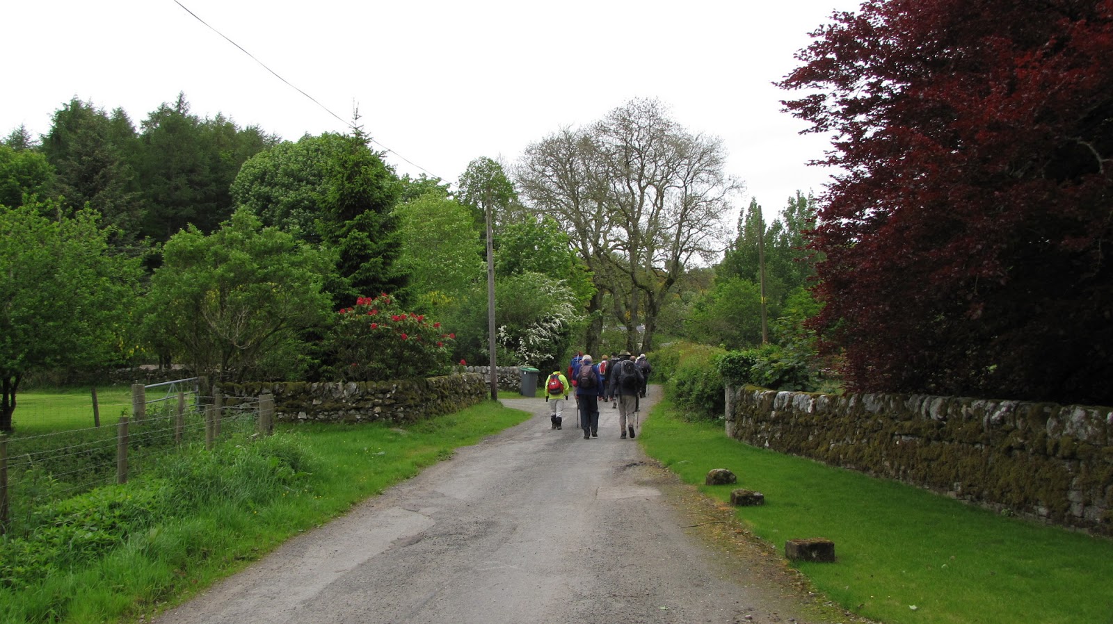 The Glebe Blog: Wigtownshire Ramblers-Anwoth Circular May 2011