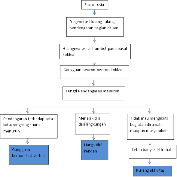 ASUHAN KEPERAWATAN LANSIA DENGAN GANGGUAN PENDENGARAN ~ Be the Best of ...