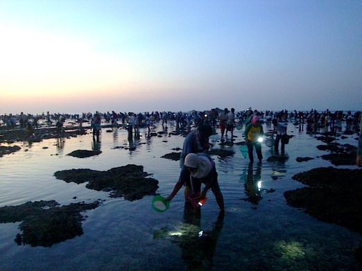 Bau Nyale Festival, Lombok Island - Indonesia ~ travell and culture