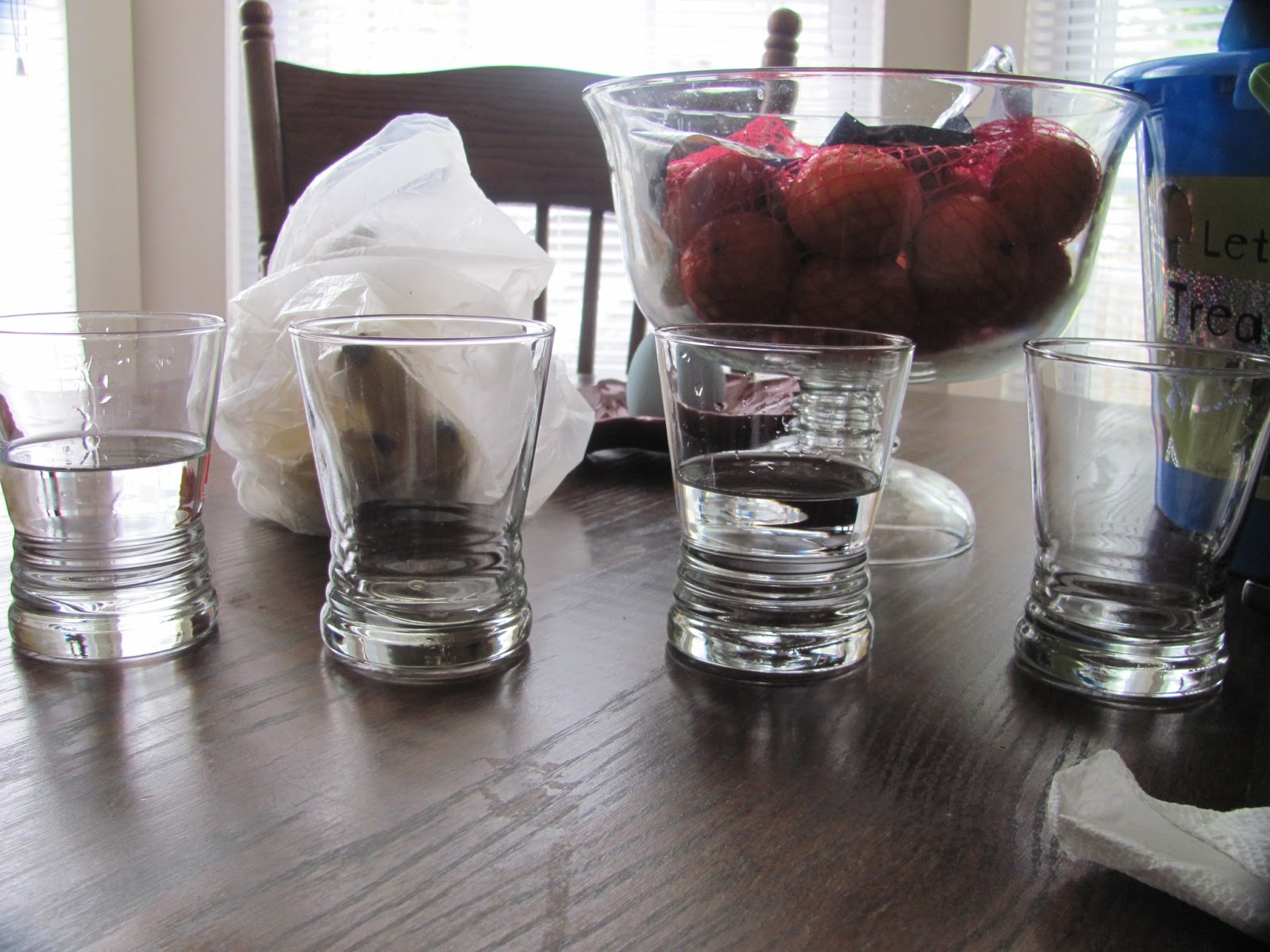 2 Moms and a Blog: Paper towel water transfer science experiment for kids