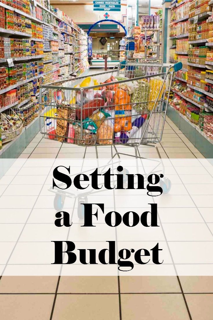 Stretching Your Dollar Setting A Food Budget stretching-your-dollar-setting-a-food-budget