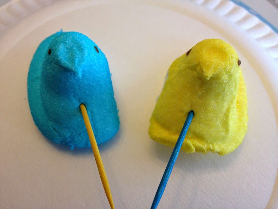 Fun with Peeps: Peeps Jousting! | The Jersey Momma
