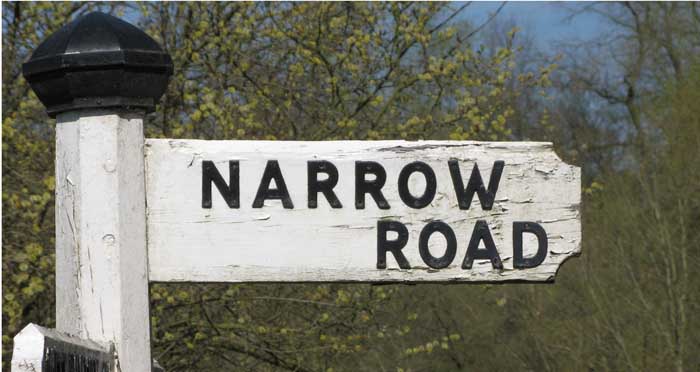 I'd Laugh...But All This Happened To Me!: Reviewing the #NarrowRoad