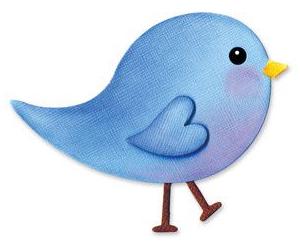 RECURSOS y ACTIVIDADES para Educación Infantil: Imagenes a color: PAJAROS