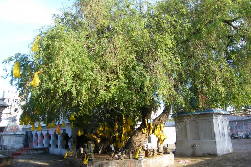 Raghu-Ketu-Thiruppaampuram: Thirupampuram