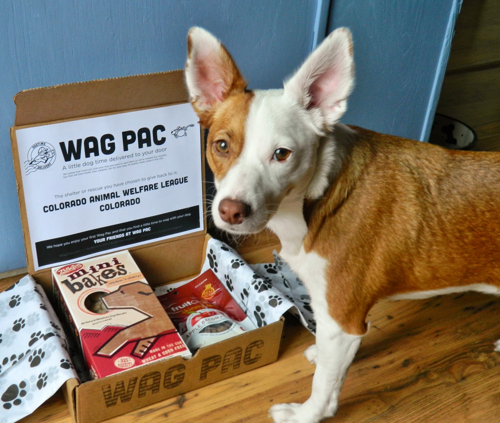 Rubicon Days: Ruby Reviews: Wag Pac March Box