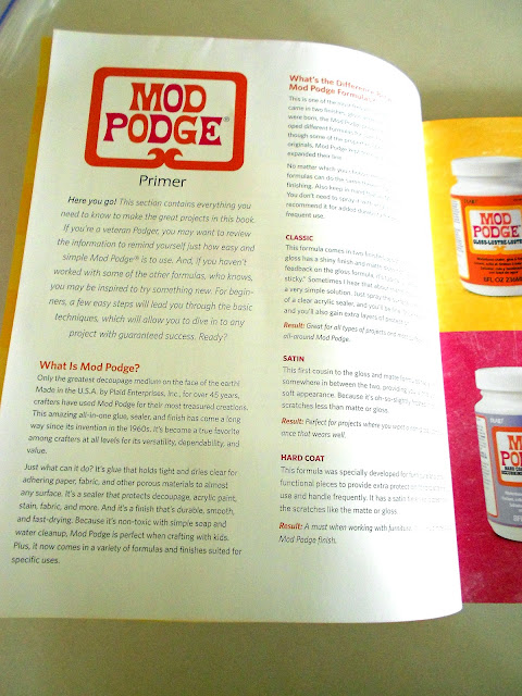 Yellow Blackbird: A Creative Blog: Mod Podge Rocks book review