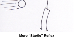 Whole-Brain Living and Learning: Resolving Moro - the "Startle" Reflex