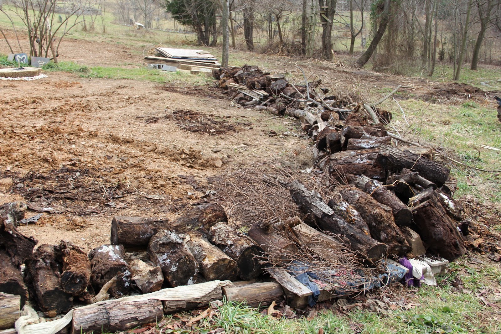 Caribbean Spirituality and Understanding in the Diaspora: Conuco ...
