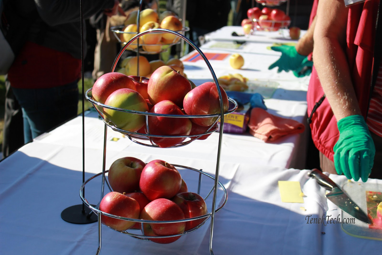 Living Vancouver Canada: UBC Apple Festival in Vancouver