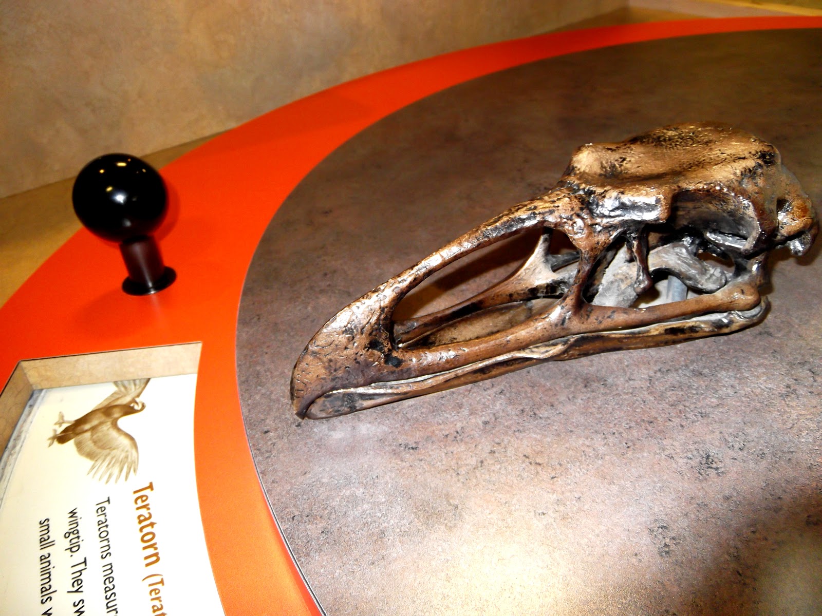 The Natural World: Zoo Spotlight: The Living Desert