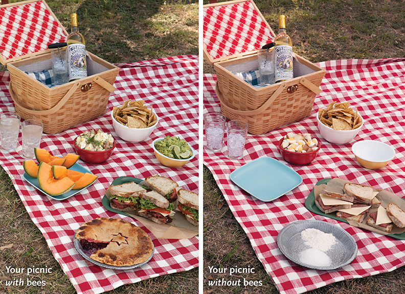 McKinney Mommas: Picnic Without Bees + Roasted Goat Cheese Pear Salad ...