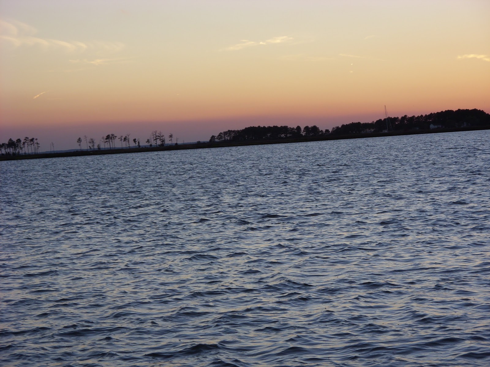Laissez-Aller: Notre premier dauphin à Cedar Point, Hudson Creek ...