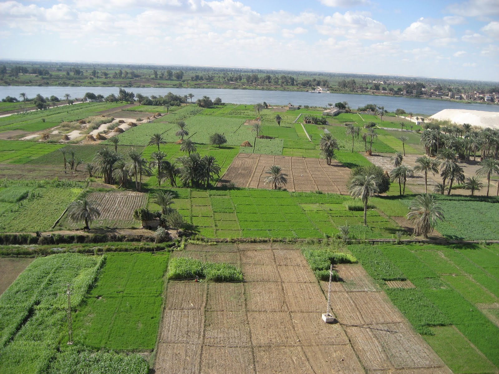 Riphenburg/Egypt: Al Minya