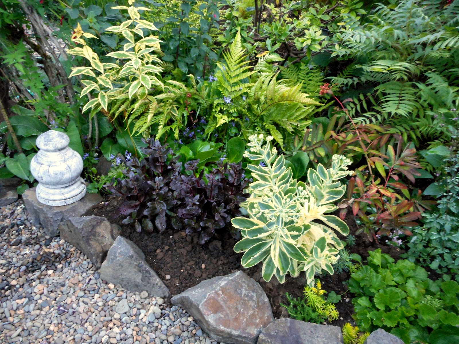 Gardening With Grace: Random Garden Photos