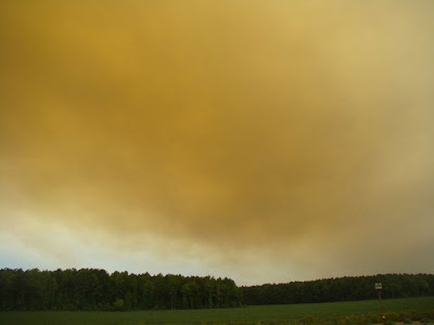 The Pocomoke Public Eye: Smoke From Great Dismal Swamp Spreads As Far ...