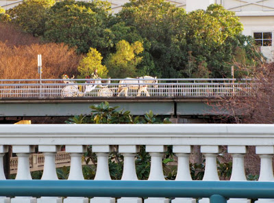 Houston in Pics: Horse drawn carriage rides in Downtown Houston (pictur