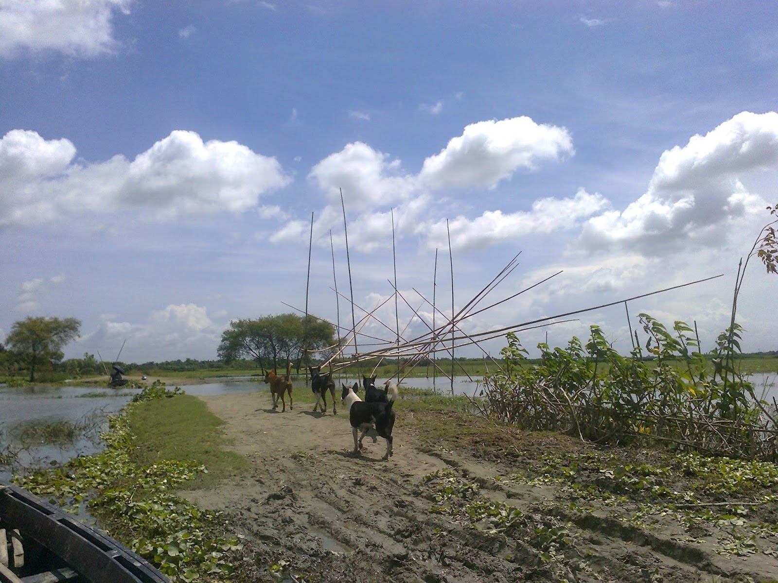 Beautiful Manikganj: Khalshi, Daulatpur, Manikganj Tour July 2013