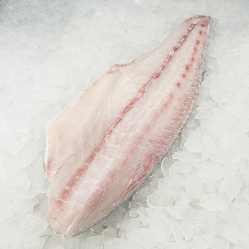 Where to Buy Milkfish to Be Use on Food Delivery Service Business ...