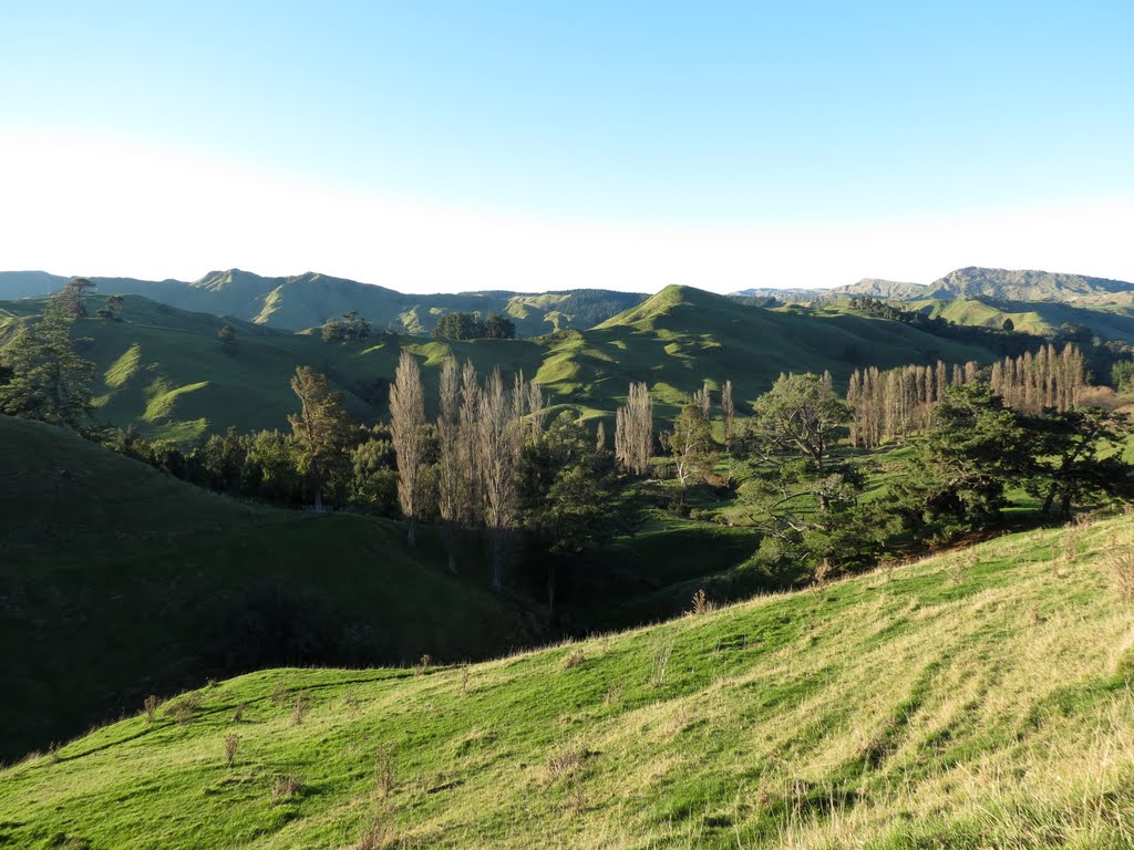 Jen & Flo's Adventures: Gisborne and surrounds