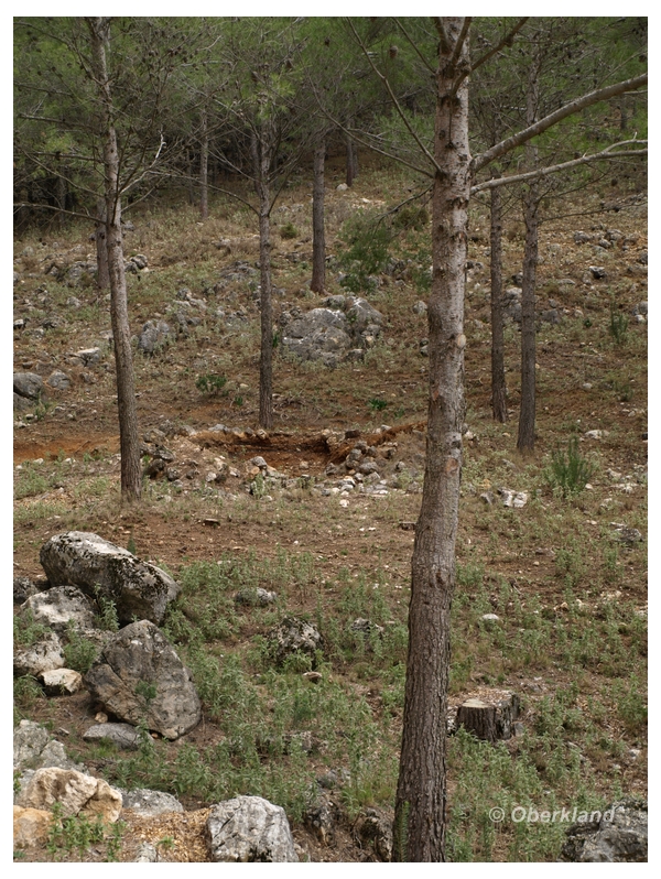 Rutas de senderismo por Andalucía: Sierras Subbéticas Cordobesas ...