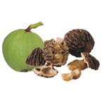 Antiparazitni program - OKP