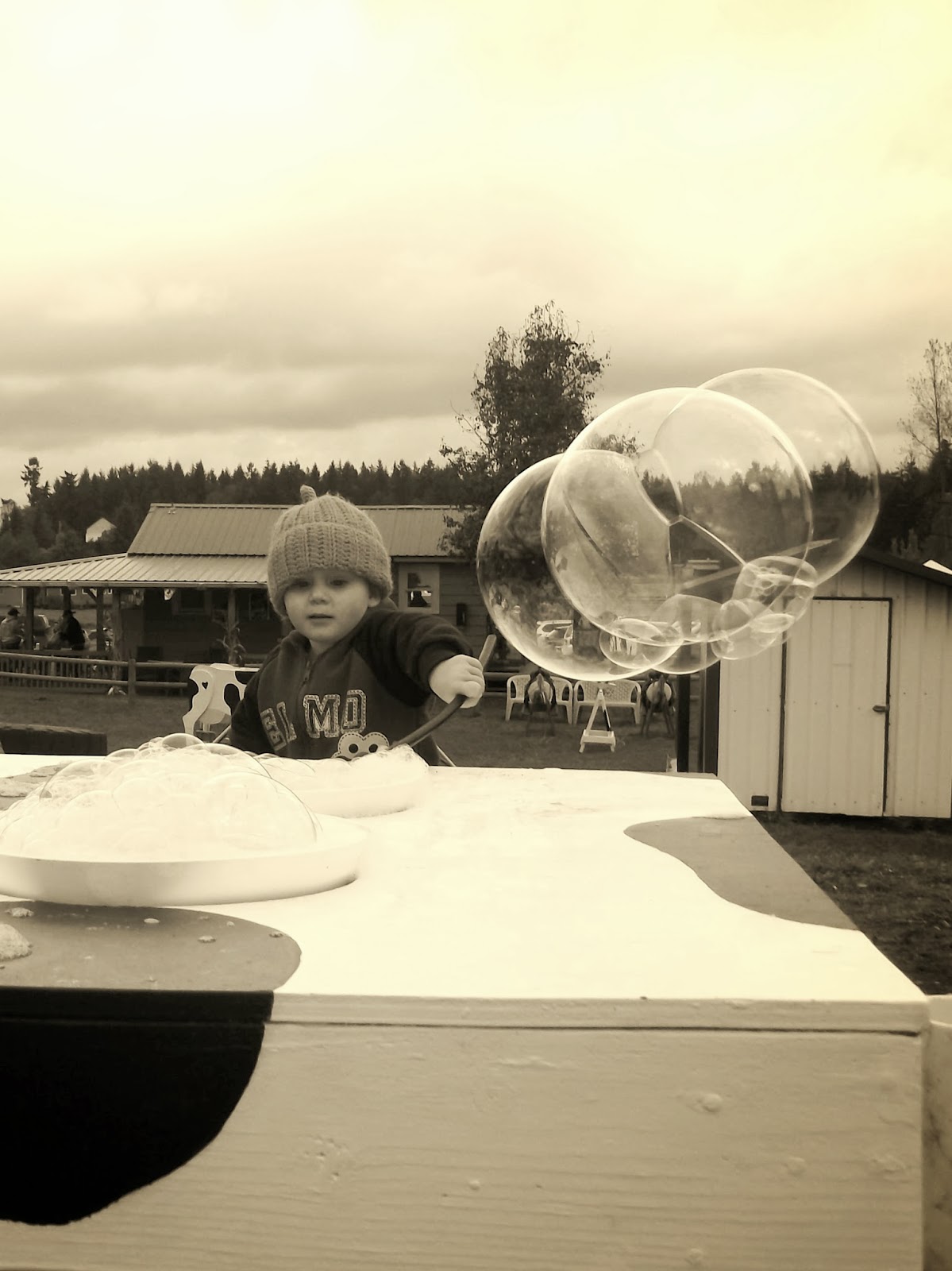 Thomasson Family Farm and Pumpkin Patch