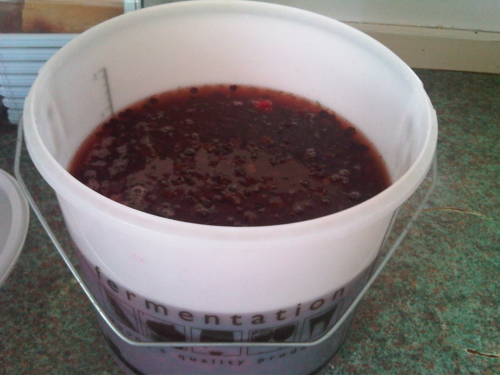 Me & My Vino: Raspberry Wine 2