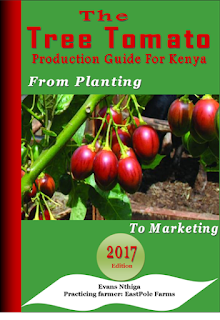 Rich Farm Kenya: Profitable Agribusiness Ideas in Fruit Farming: Farmer ...