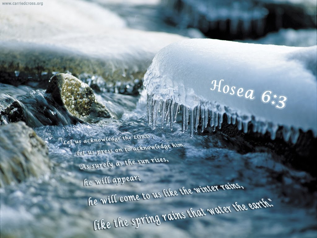 The Beauty Of The Creation: Hosea 6:3