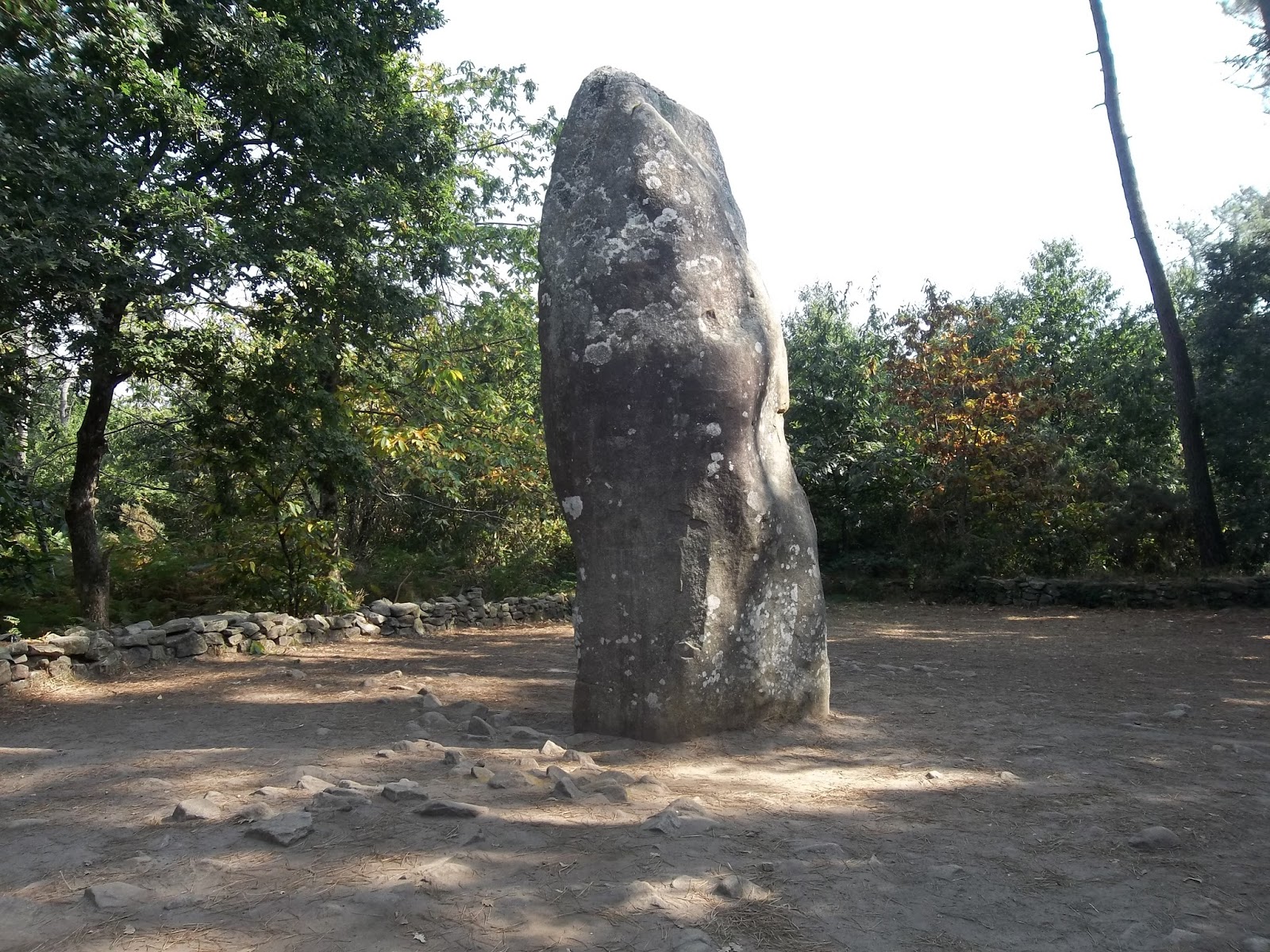 Thoughts of Chairman Mwyn: A Megalithic Ramble.