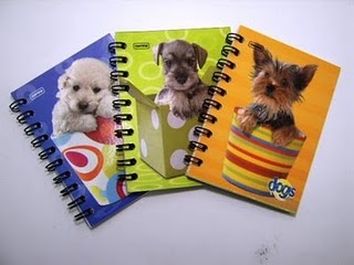 Grupo Norma Educación - Ecuador: Cuadernos DOGS
