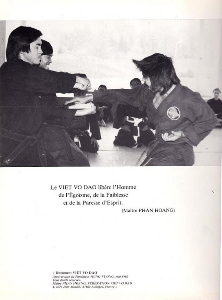 Viet Vo Dao