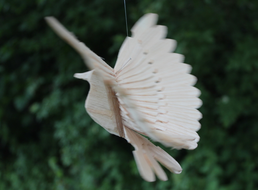 Sean Hellman: Coppice Week and fan birds