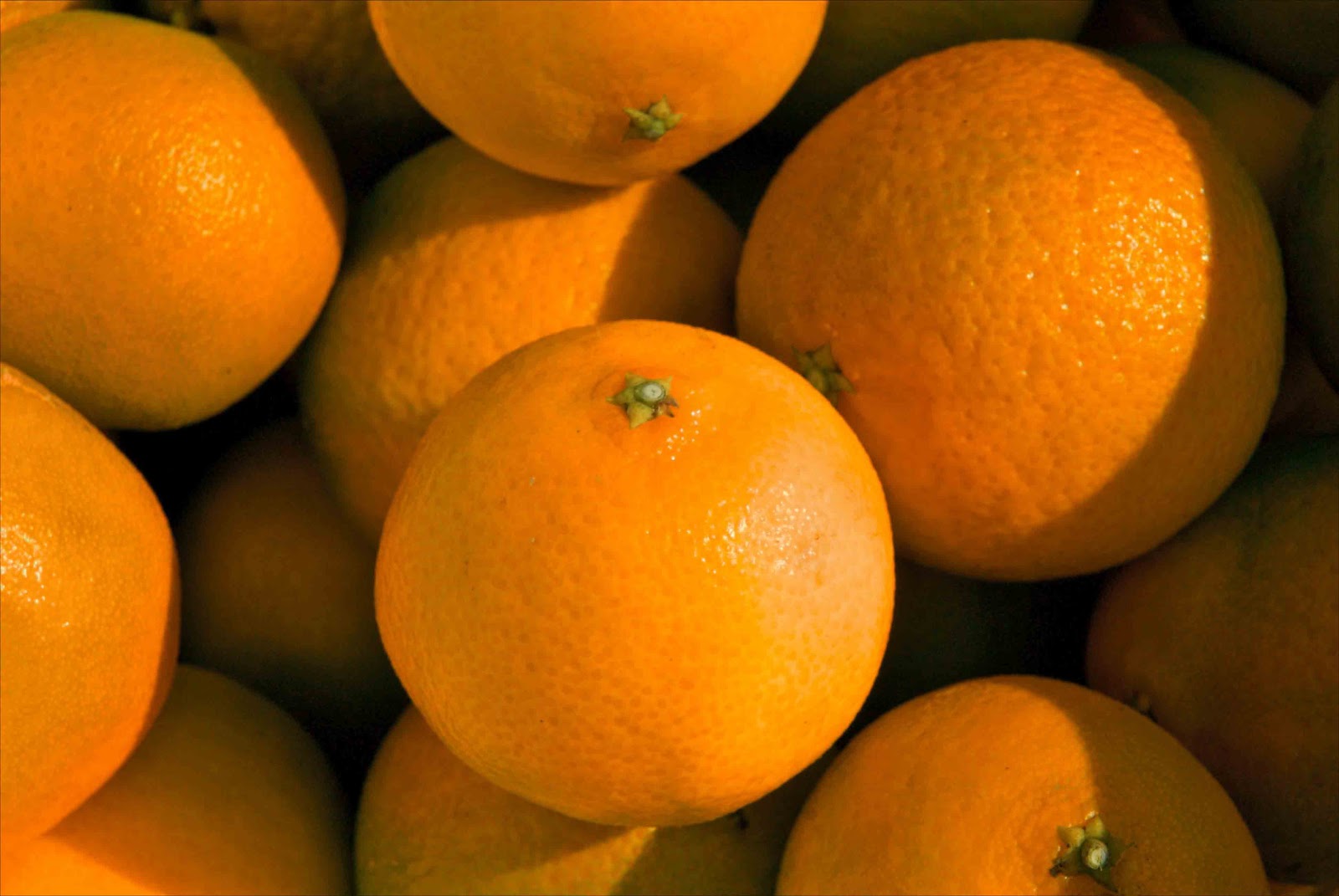 Citricos del Llano: Propiedades de los citricos