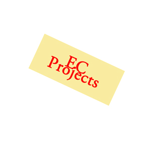 Condo Launch Singapore: New EC Project