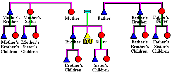 Ethinicity , Sects & Kinship in Social culture ~ Professional Shiksha