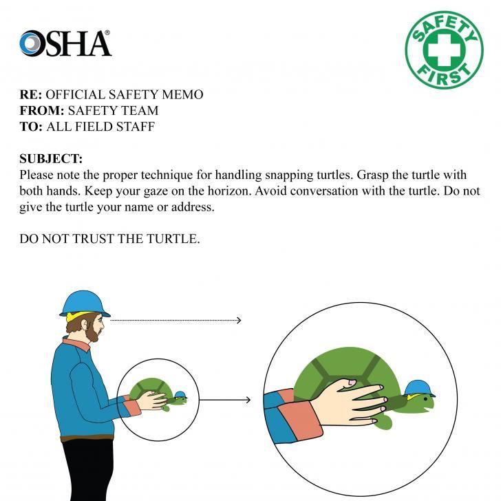 Please note the proper technique for handling snapping turtles - Do not ...