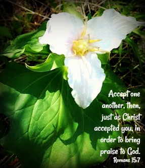 Beyond The Picket Fence: Sunday Verses