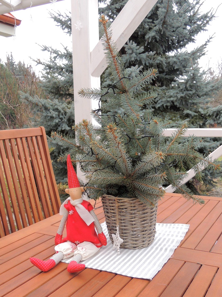 ...plníme si naše sny...: Vetvičky z jedličky...